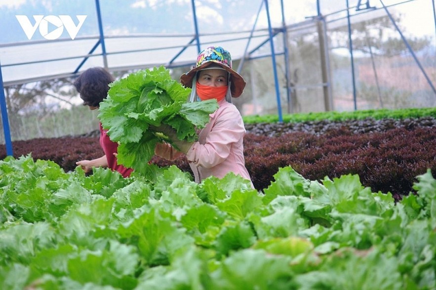 Countries Hail Vietnamese Government’s Leadership in SDGs ... Countries Hail Vietnamese Government’s Leadership in SDGs ...